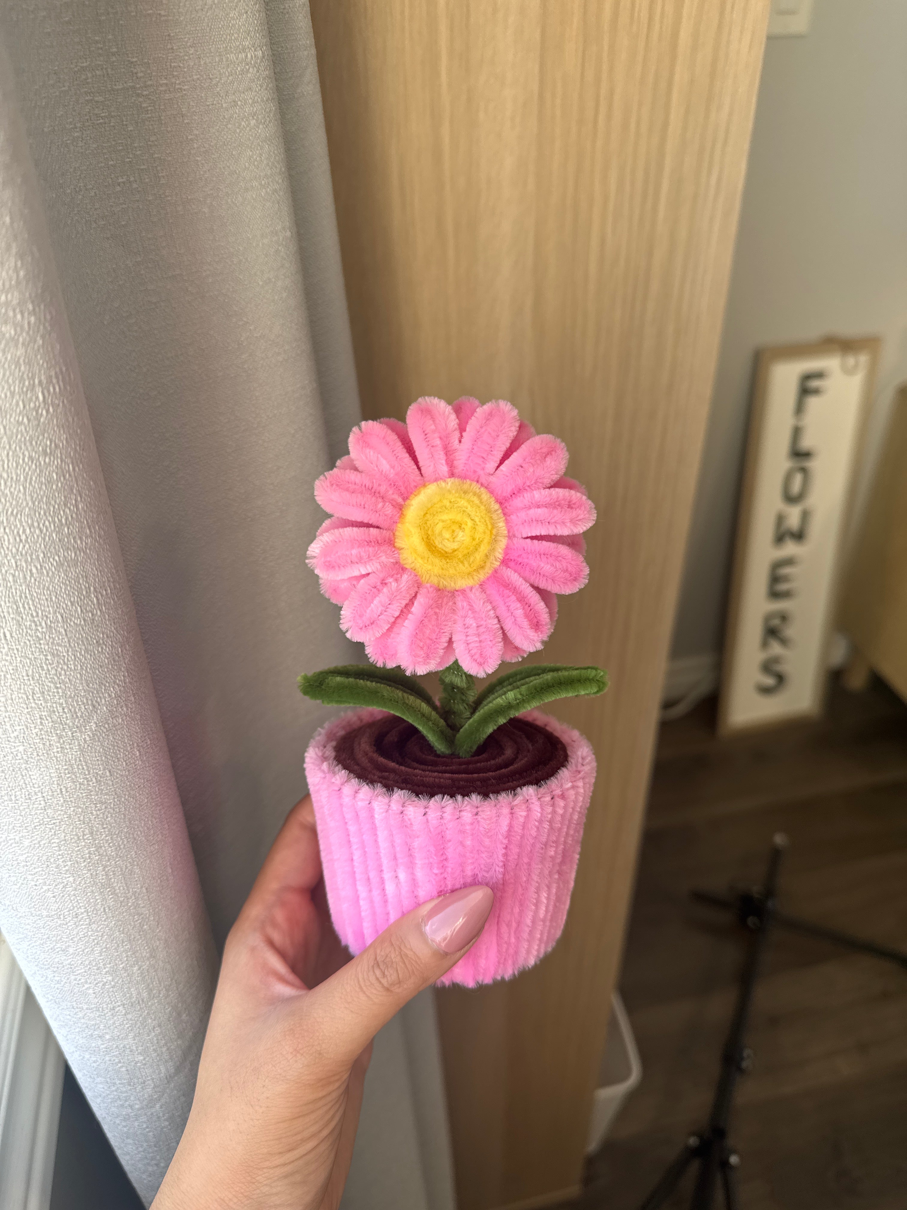 Breast Cancer Fundraiser Daisy